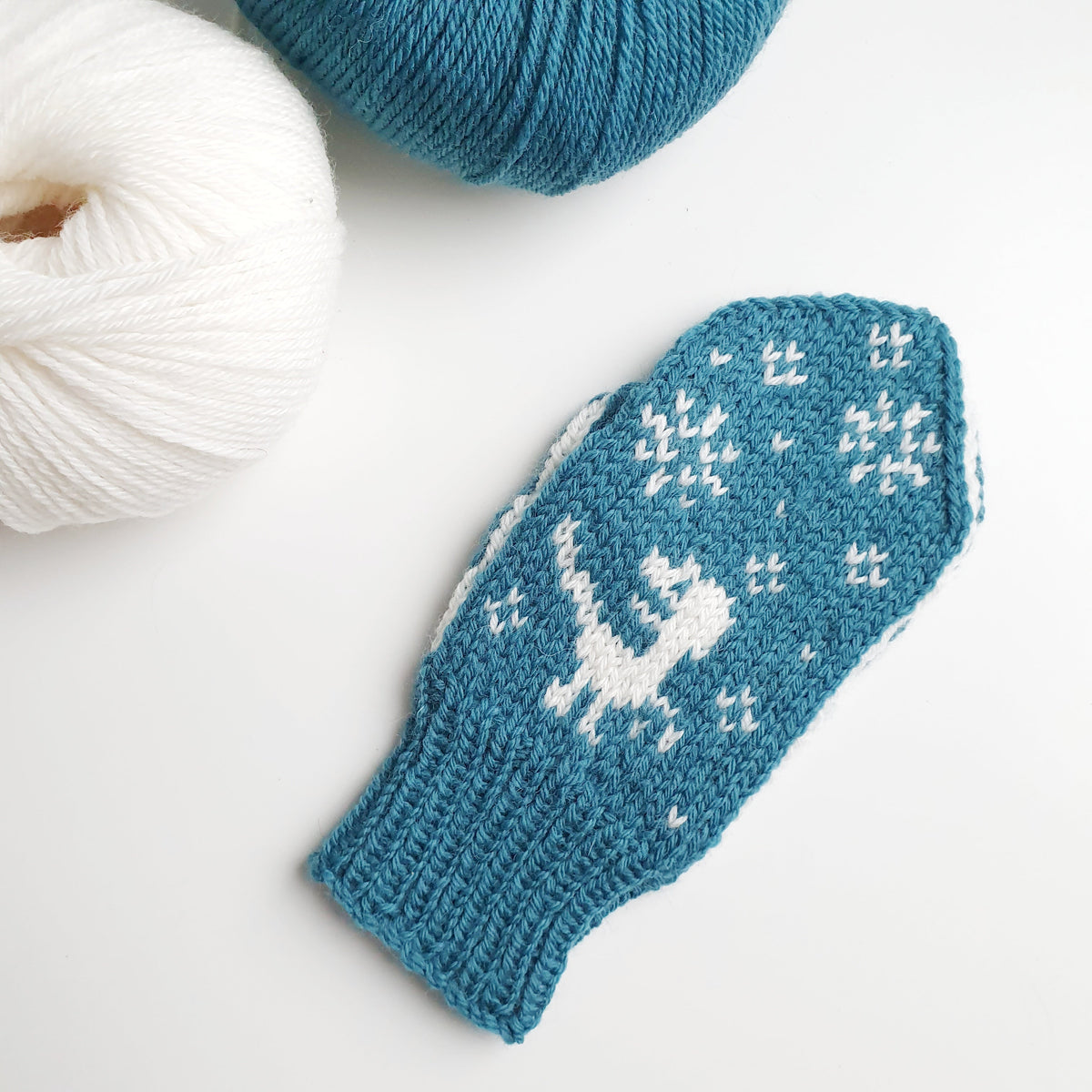 Raptorpakke barn – tonjeinoslo