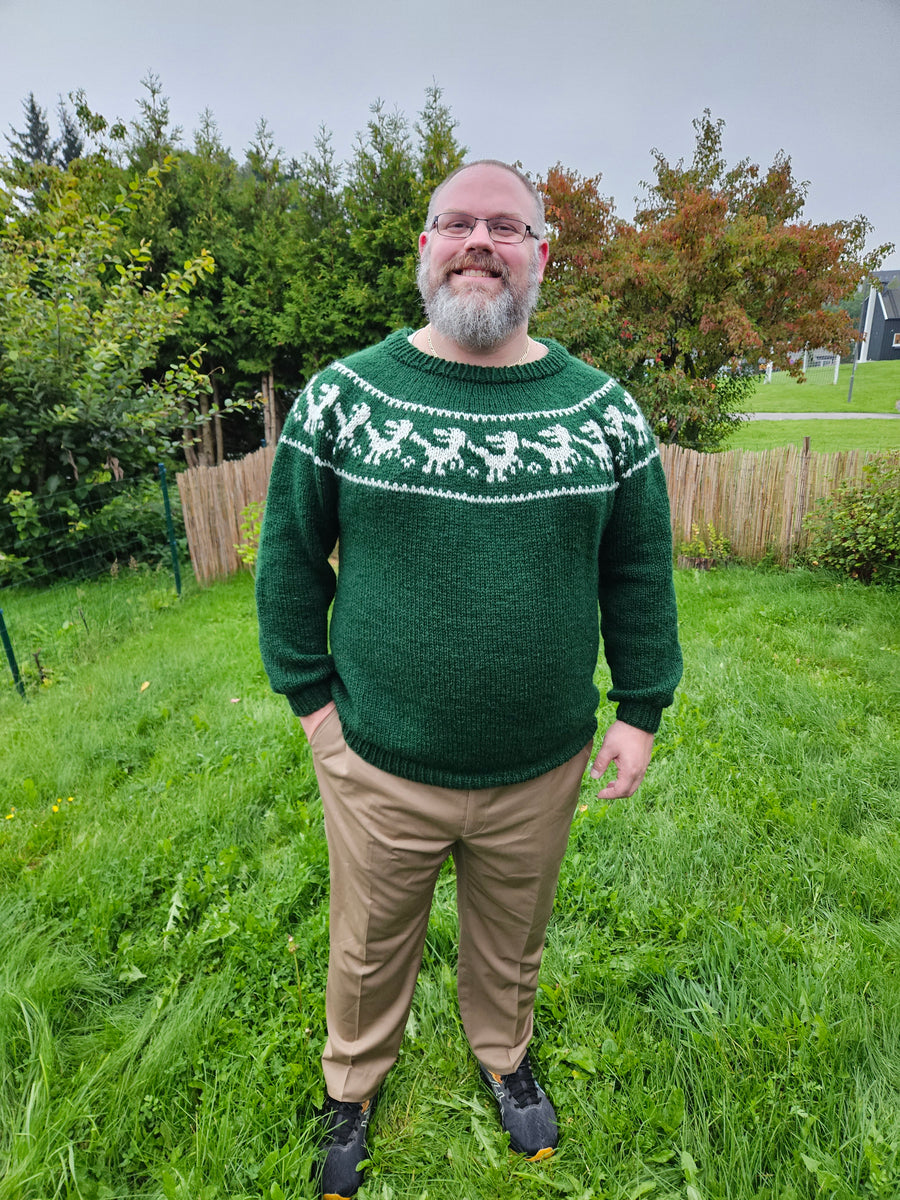 Big Raptor Sweater – tonjeinoslo