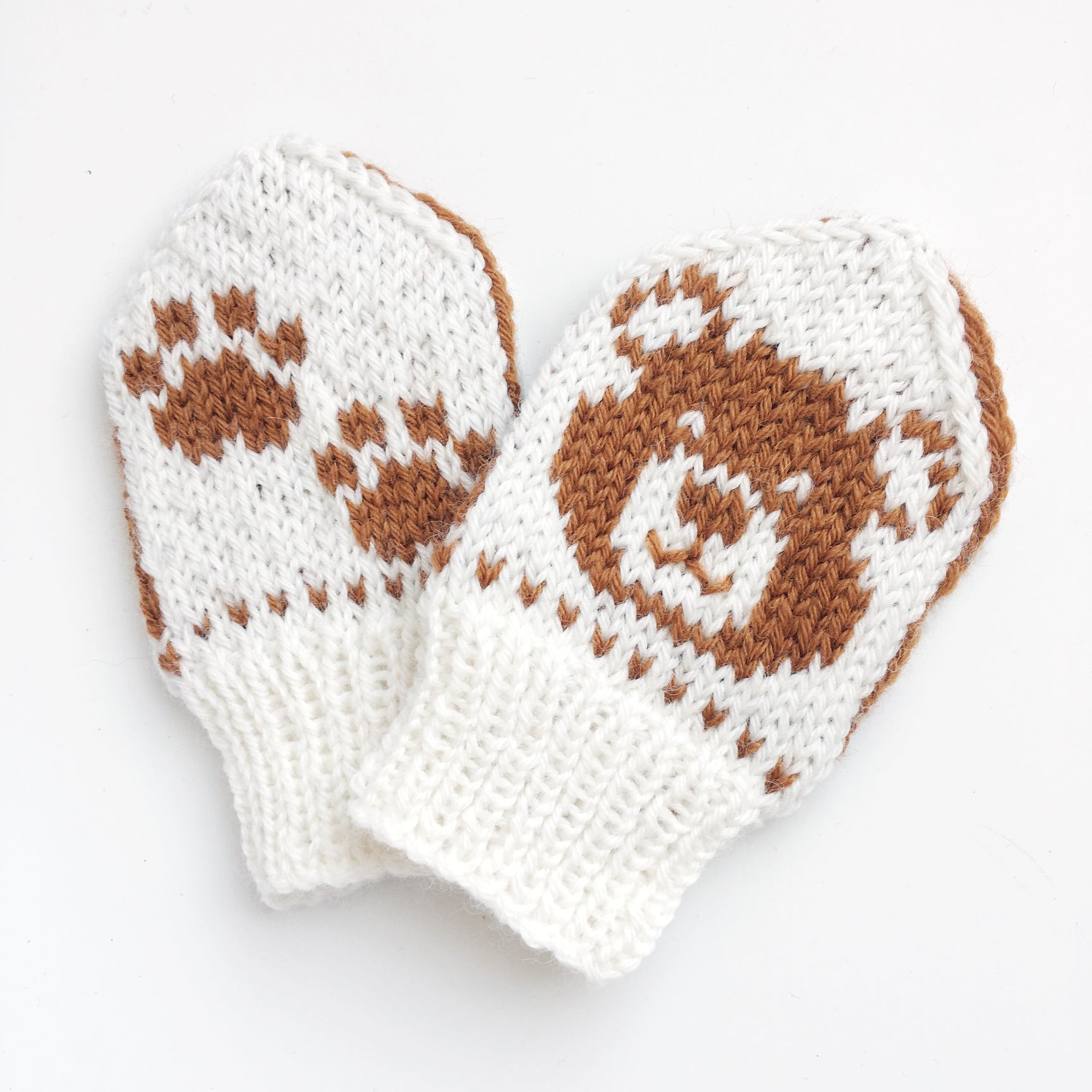 Baby Teddy – tonjeinoslo